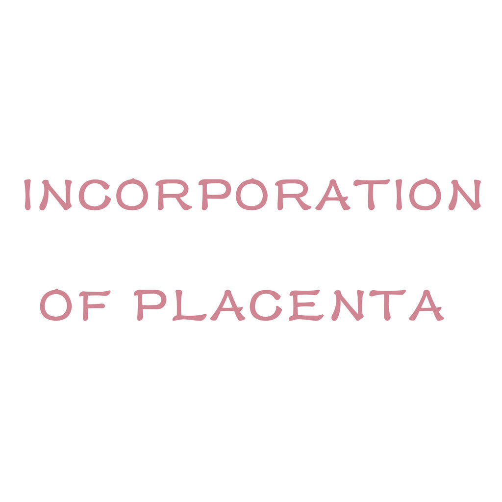Handcrafted Keepsake Jewelry with Placenta Incorporation – Love Catcher